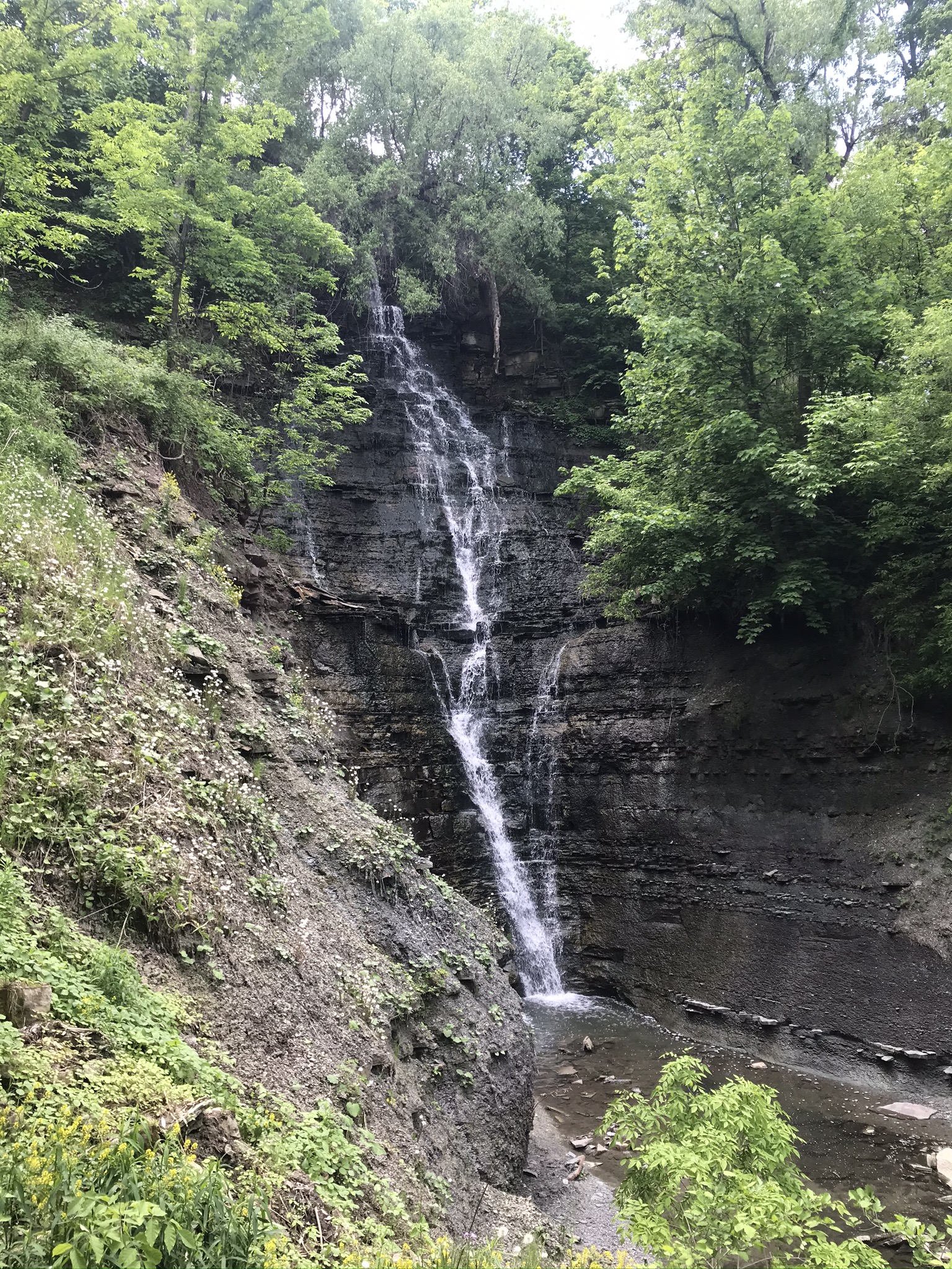 About – Chris Milne Writes: Poetry, Philosophy and Essays